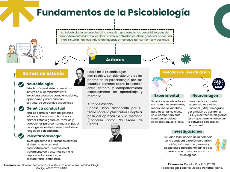 Mapa Conceptual Fundamentos de La Psicobiologia Carolina Betancur | PDF | Neurociencia ...
