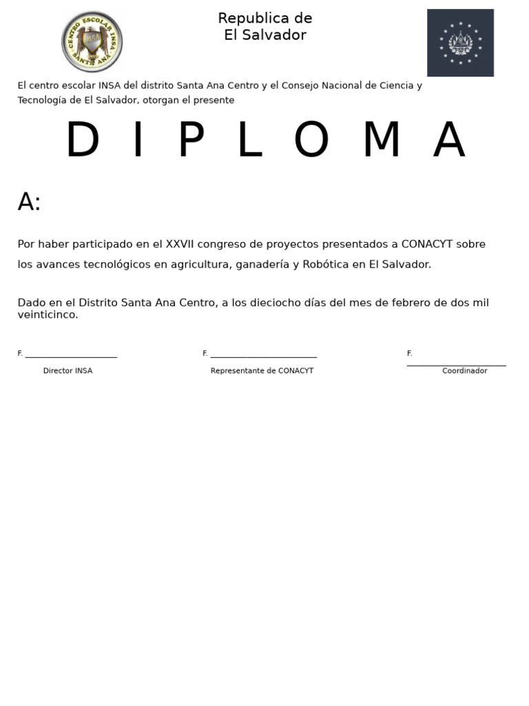 Diploma Informatica | PDF