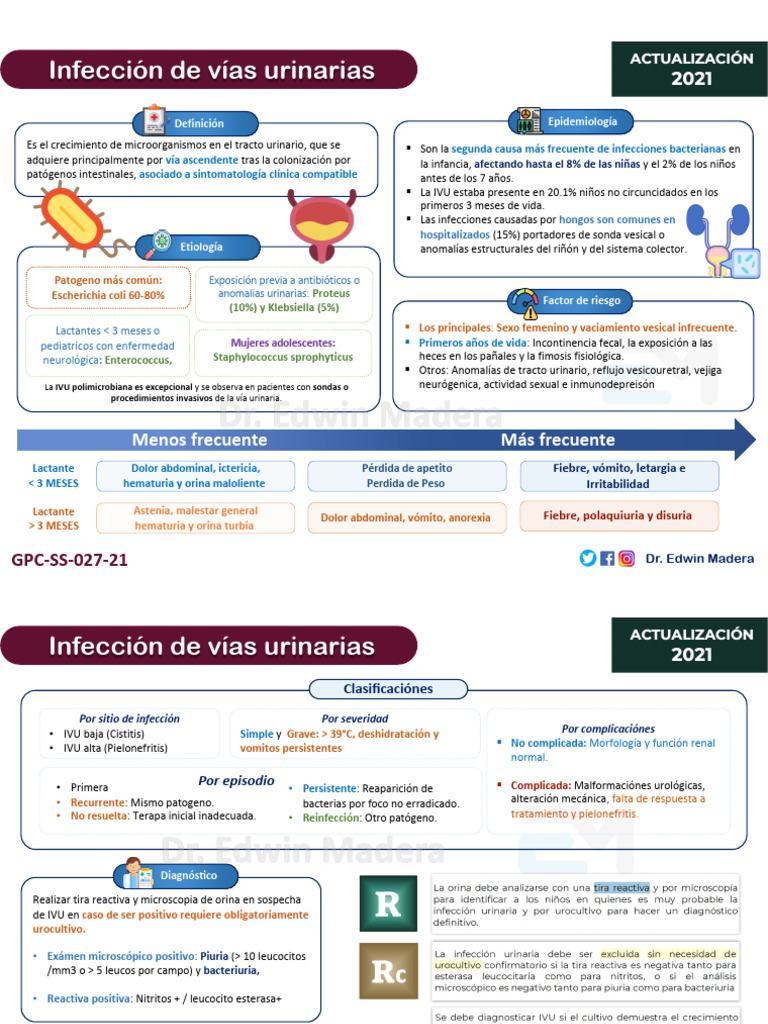 IVU en niños: diagnóstico y tratamiento | PDF | Infección del tracto ...