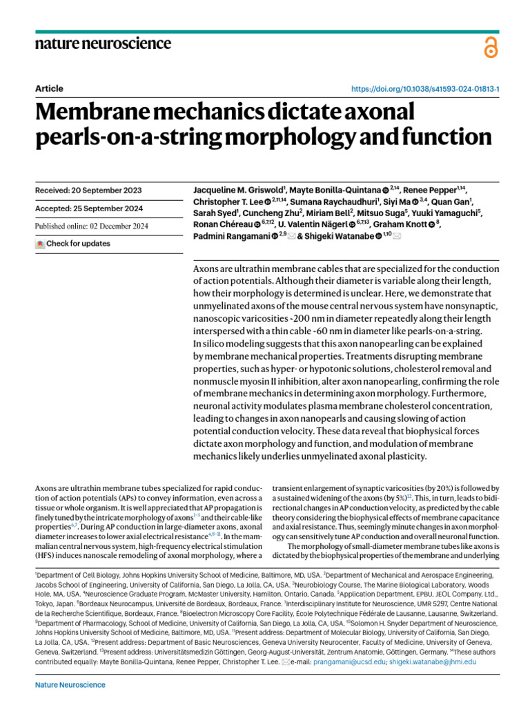 Griswold et al, 2024. Membrane mechanics dictate axonal pearls on a string morphology and ...