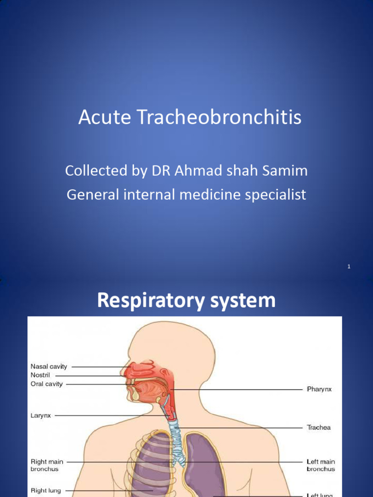 Acute Trachio Bronchitis | PDF | Bronchitis | Cough