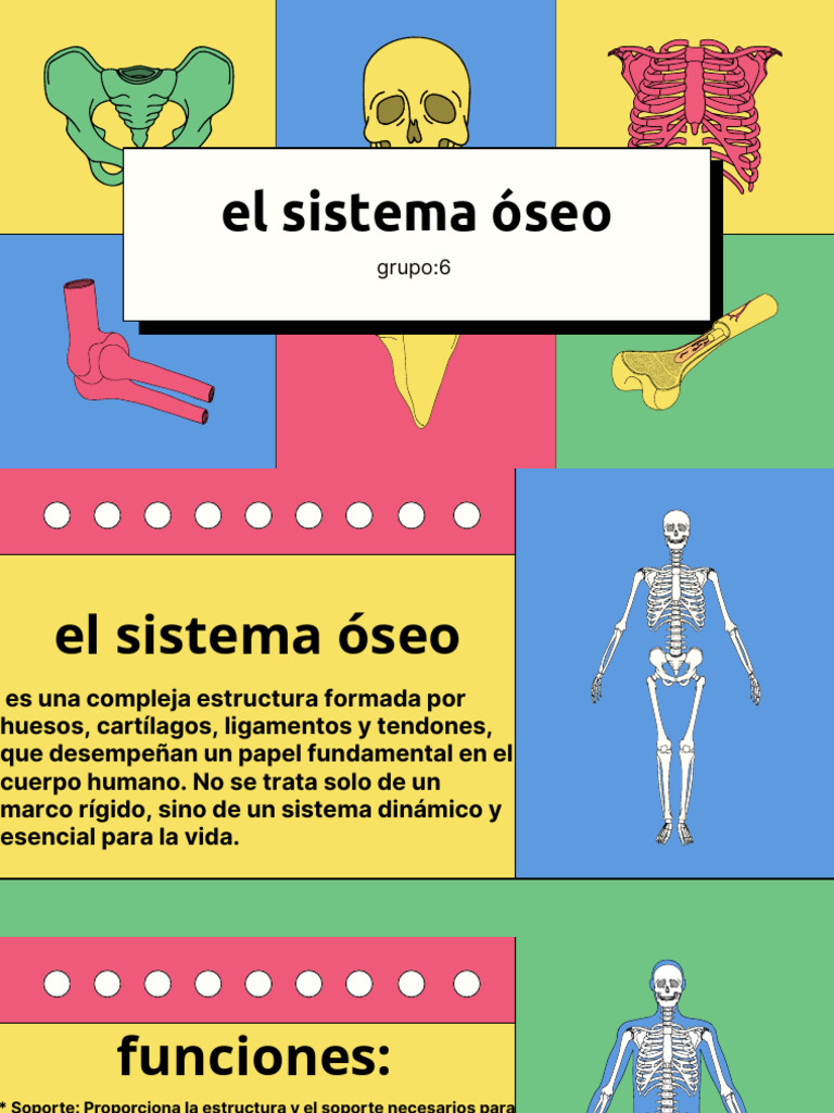 The Skeletal System Education Presentation in Green Yellow Simple ...