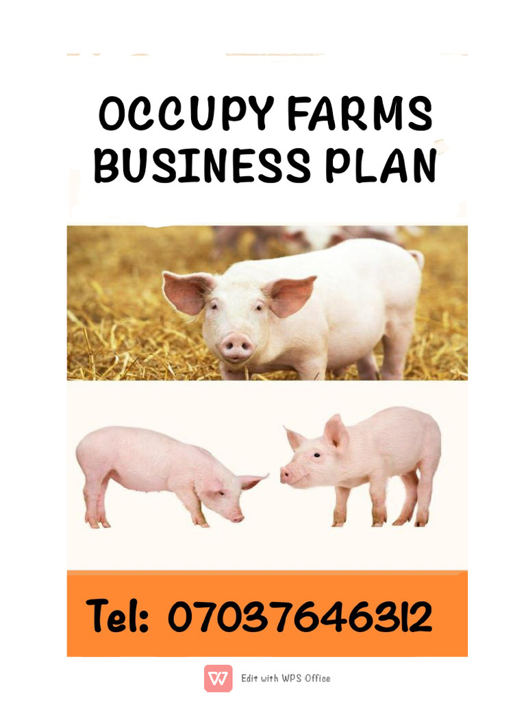 Pig Farming Business Plan Overview | PDF