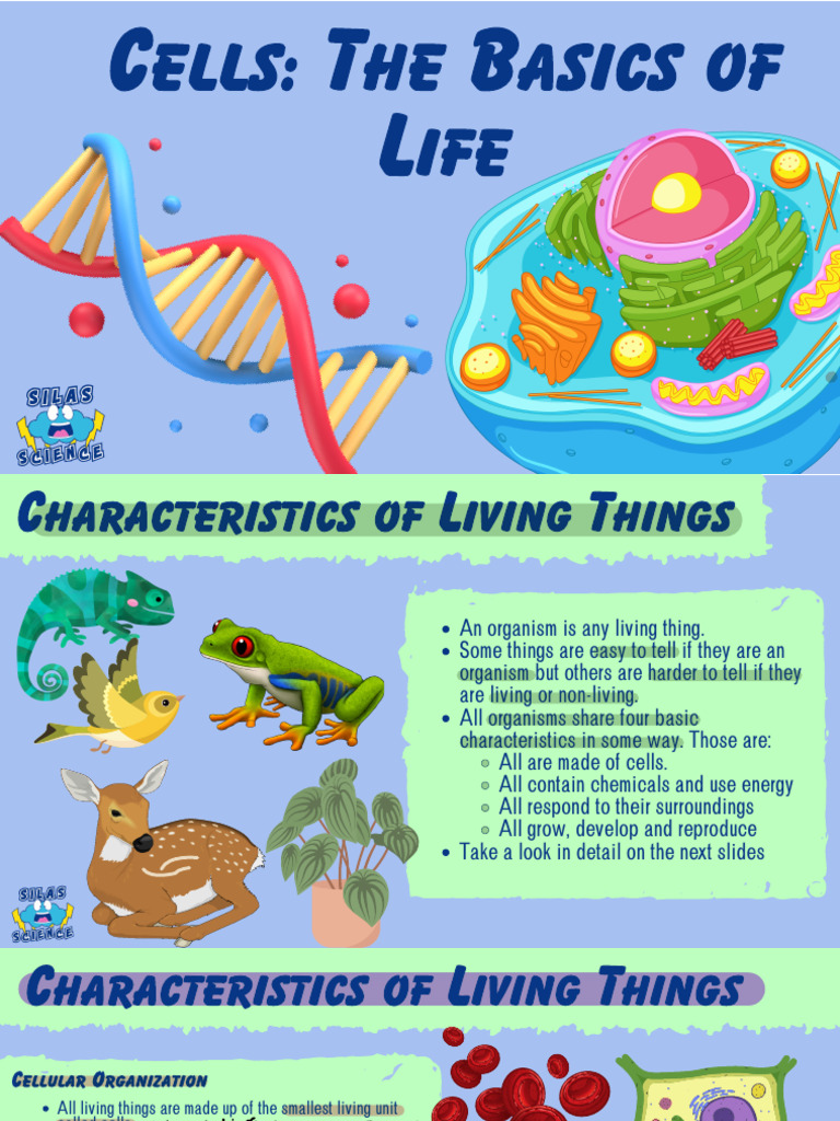Cells The Basics of Life | PDF | Cell (Biology) | Organisms