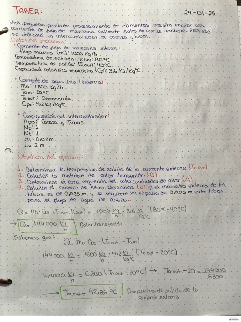 (2p) Tarea Plantas 1 | PDF