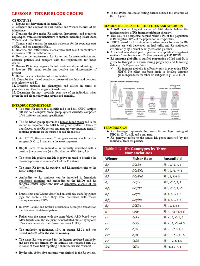 Understanding Rh Blood Groups and Testing | PDF | Blood Type | Body Fluids