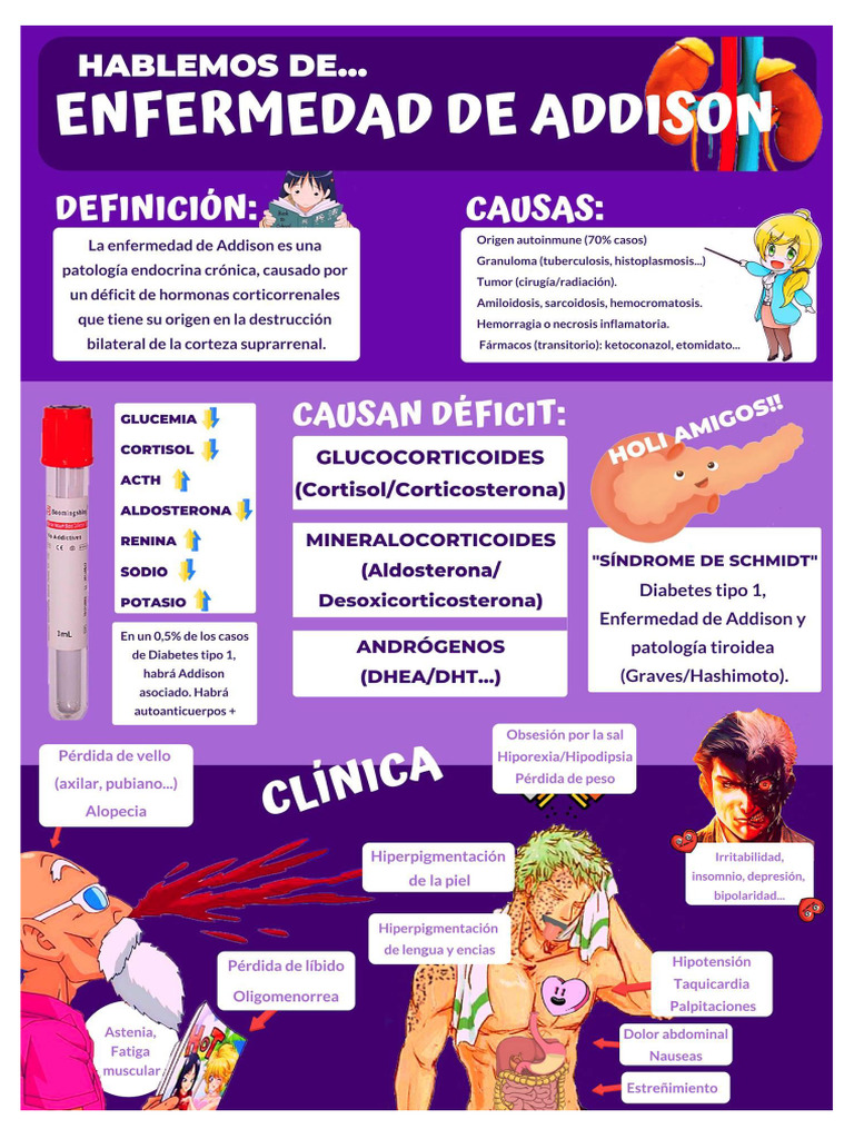 Infografia Enfermedad de Addison | PDF