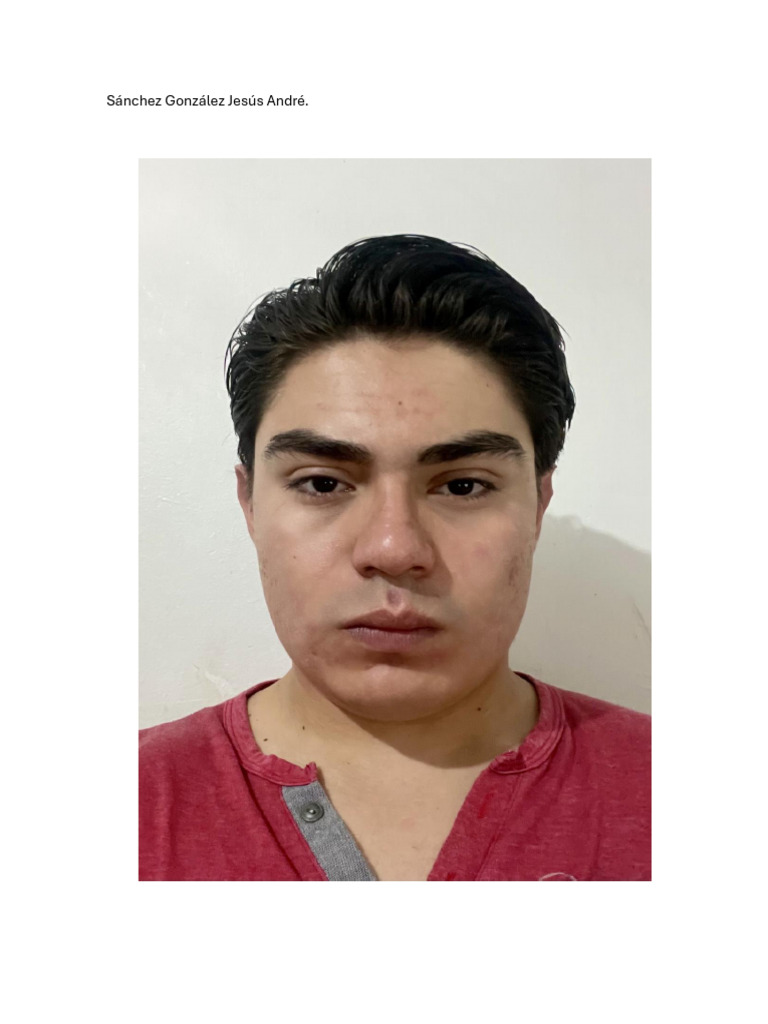 A1. Sánchez González Jesús André. | PDF