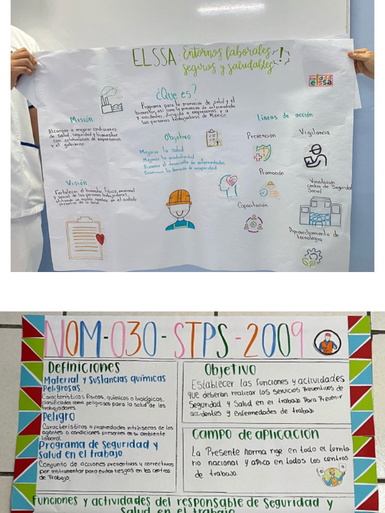 Elssa y Nom 030 Stps 2009 | PDF