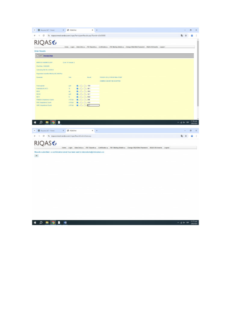 Soporte Cargue RIQAS FEB 2025 | PDF