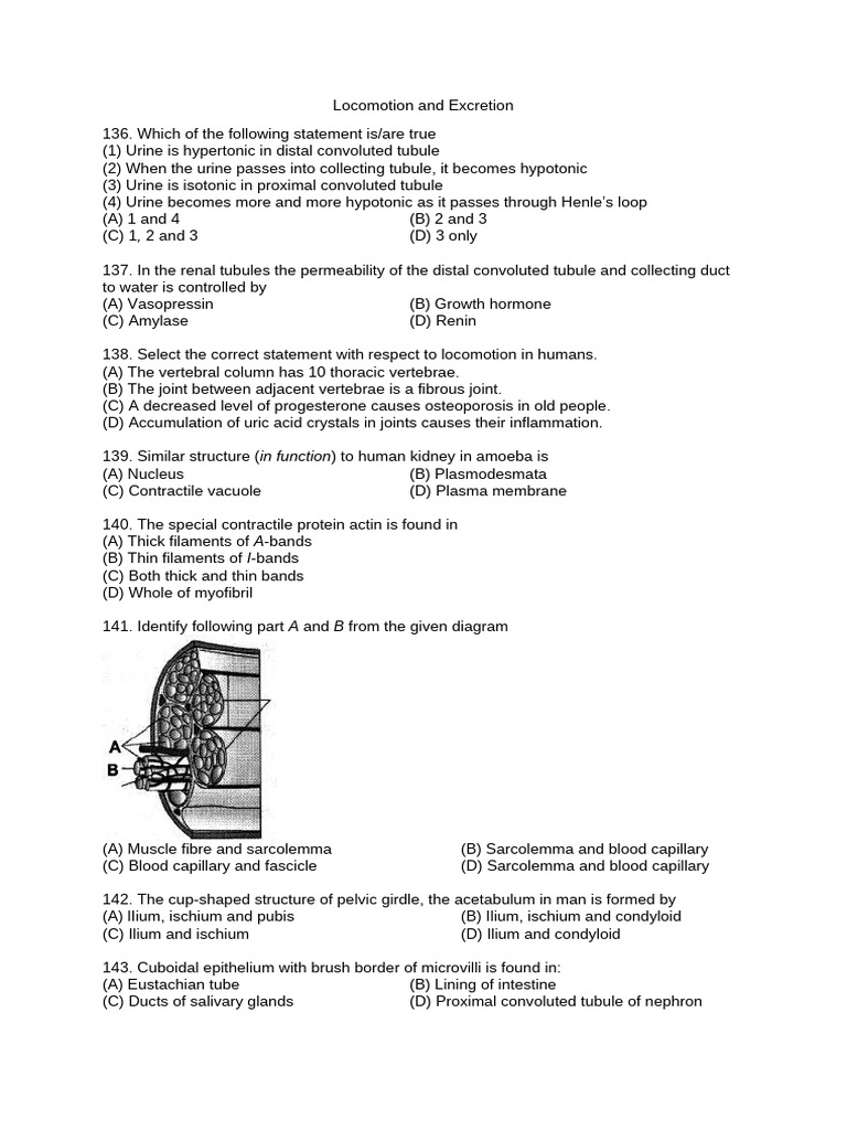 Excretion and Locomotion Test | PDF | Muscle Contraction | Skeletal Muscle