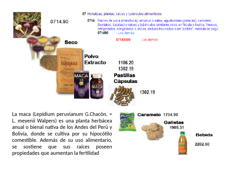 Av U2 Act 11 Ejemplo | PDF