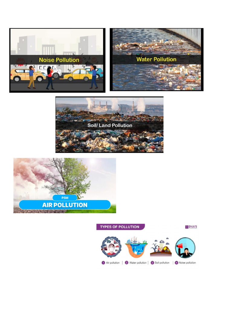 Pollution Project | PDF