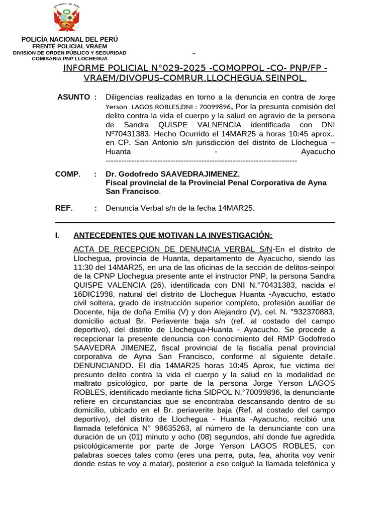 informe de samdra | PDF | Derecho penal | Justicia penal