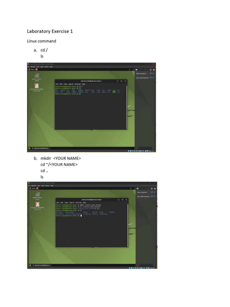 Linux Command Line Basics Exercise | PDF