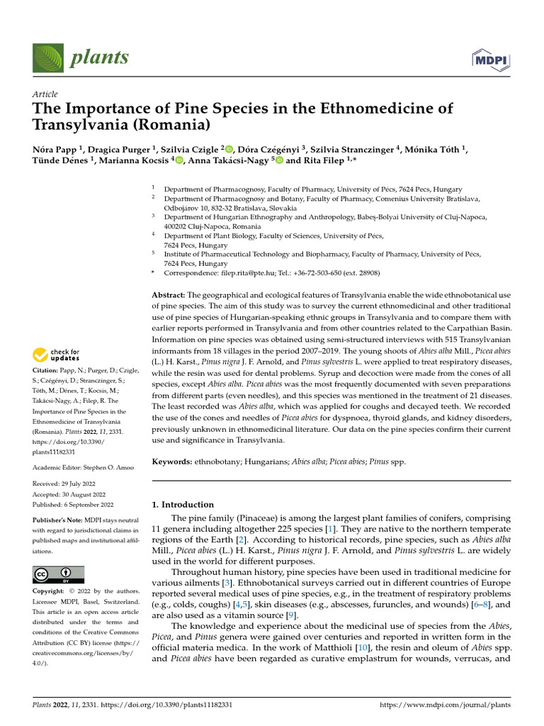 Pine Species in Transylvanian Ethnomedicine | PDF | Pine | Fir