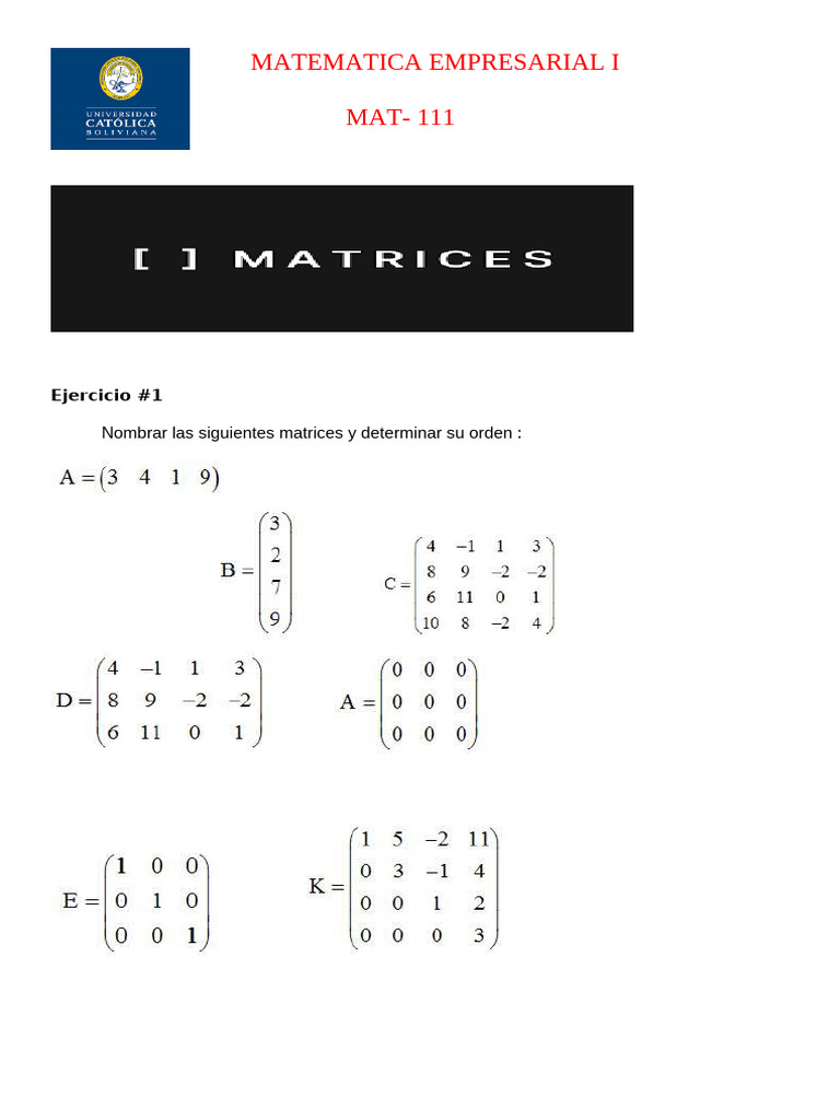 Prac. Matrices | PDF | Matriz (Matemáticas) | Análisis funcional