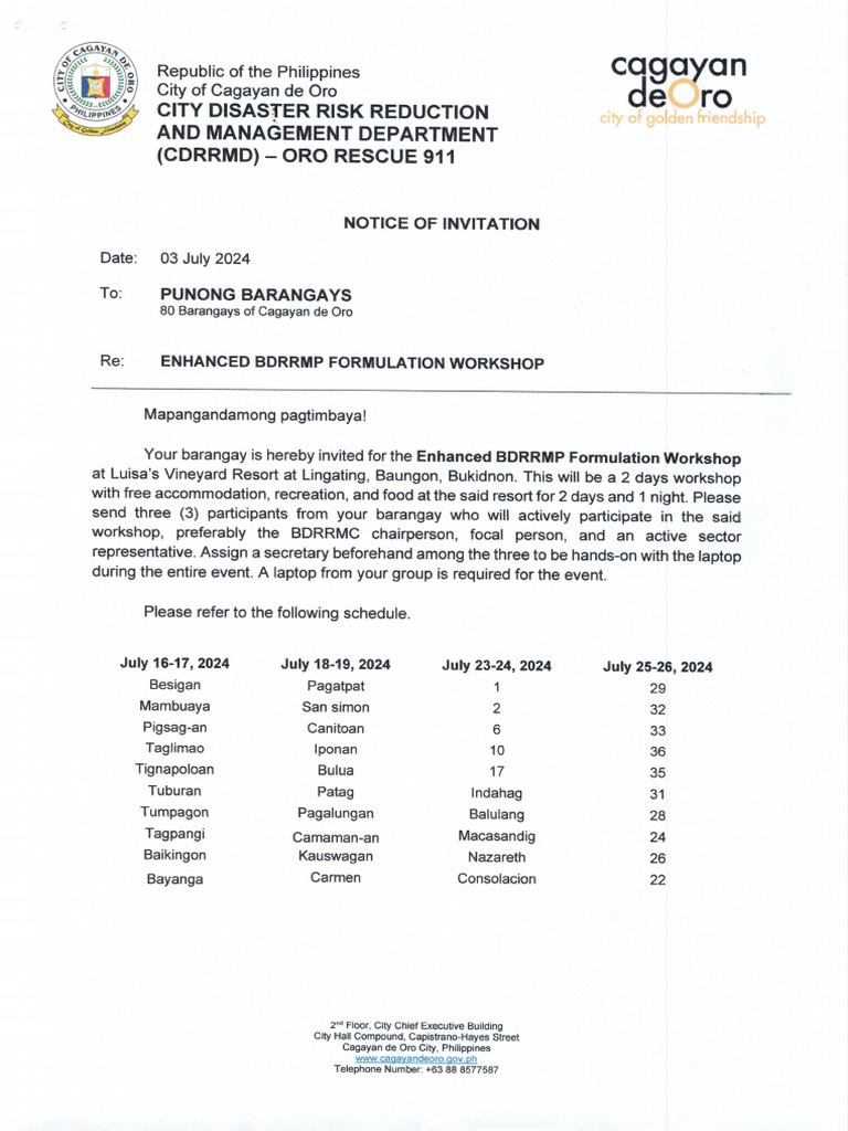 BDRRMP Workshop Invitation | PDF
