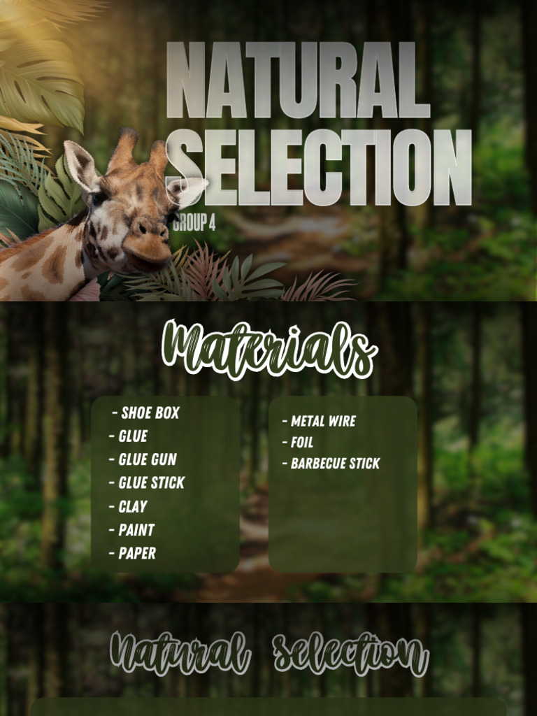 Giraffe Neck Length and Survival | PDF