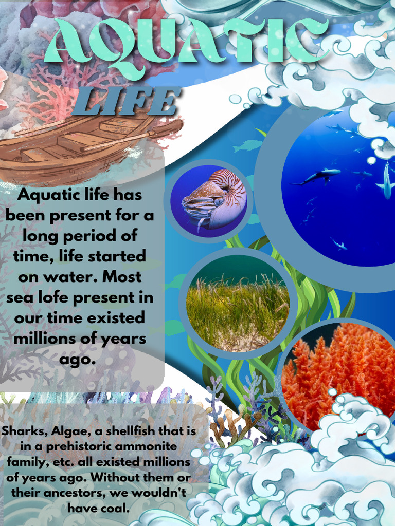 Infographics Aquatic Life | PDF