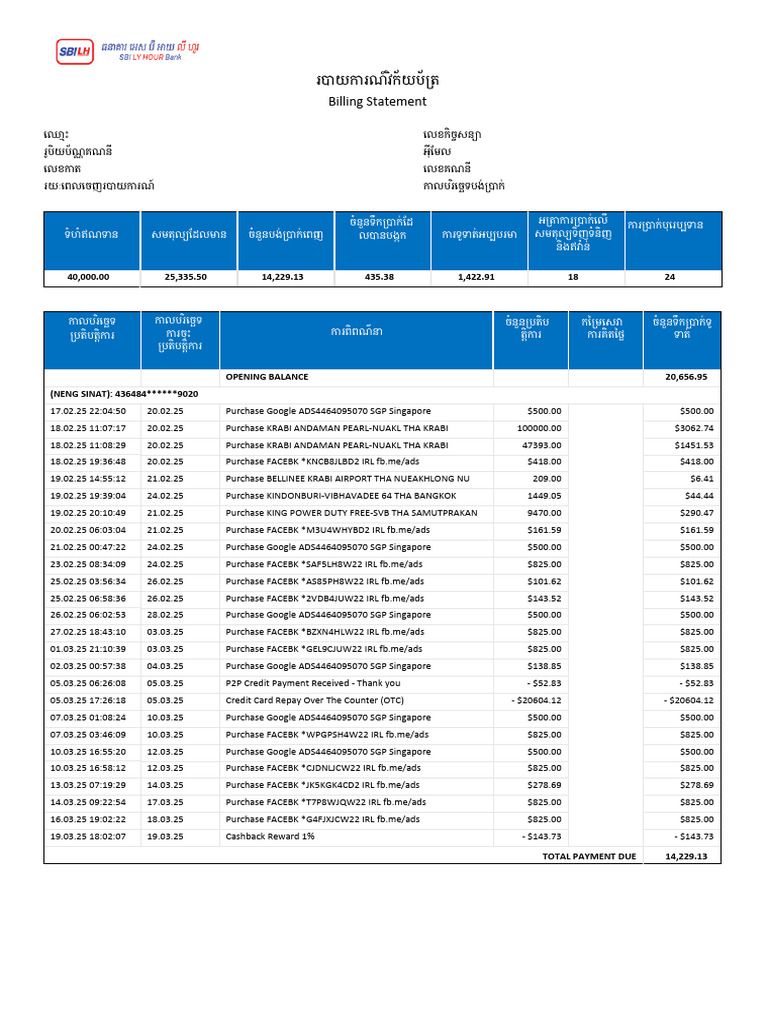 Statement 51110 20250320 | PDF