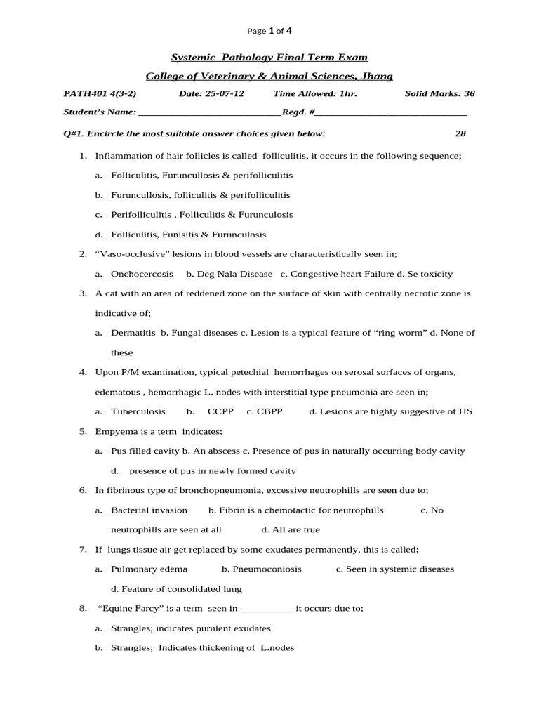 Systemic Pathology Final Term Exam | PDF | Kidney | Bone