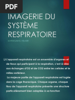 Examen Radiologique du Gril Costal | PDF | Thorax | Système squelettique