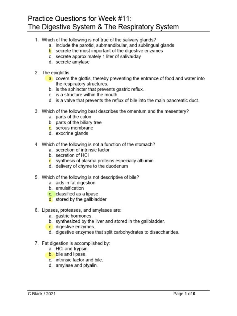 Digestive & Respiratory System Quiz | PDF | Respiratory Tract | Human ...