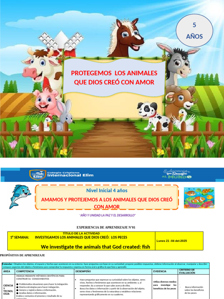 Aprendizaje sobre Animales y sus Beneficios | PDF | Aprendizaje ...