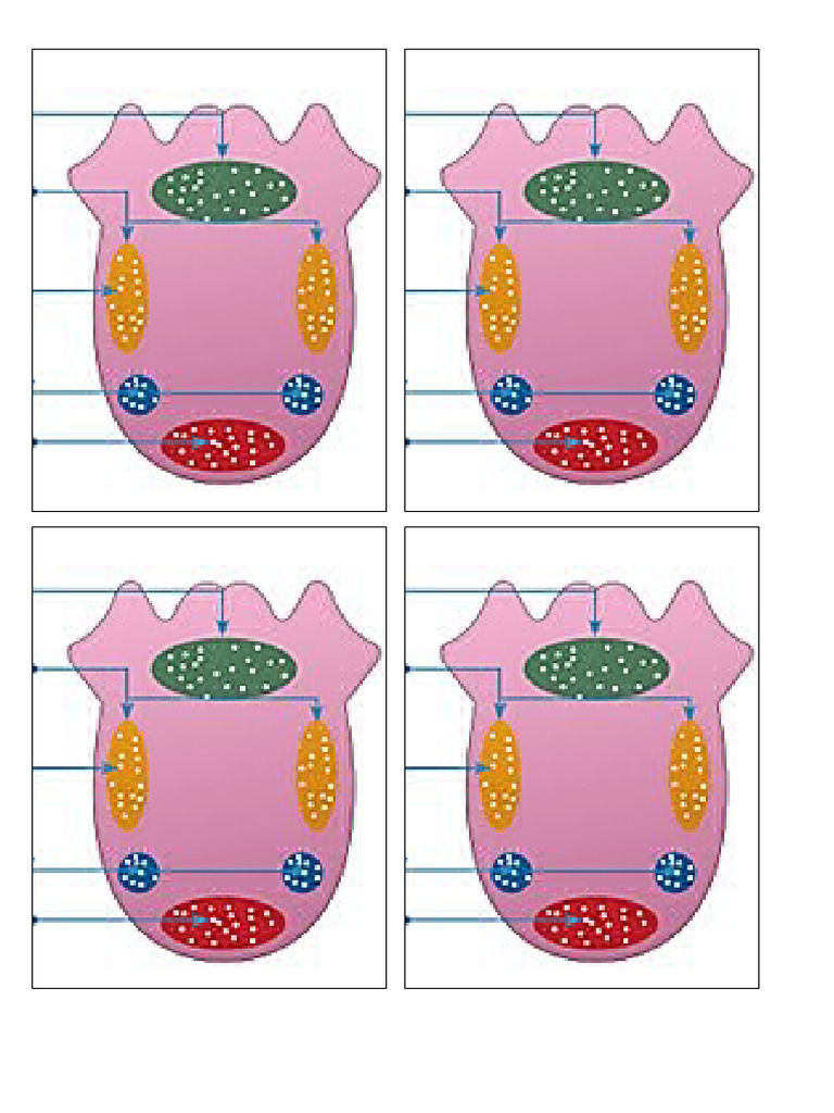 imprimir 5 copias a colores | PDF