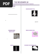 7 Basic Napkin Folding Techniques | PDF | Nature
