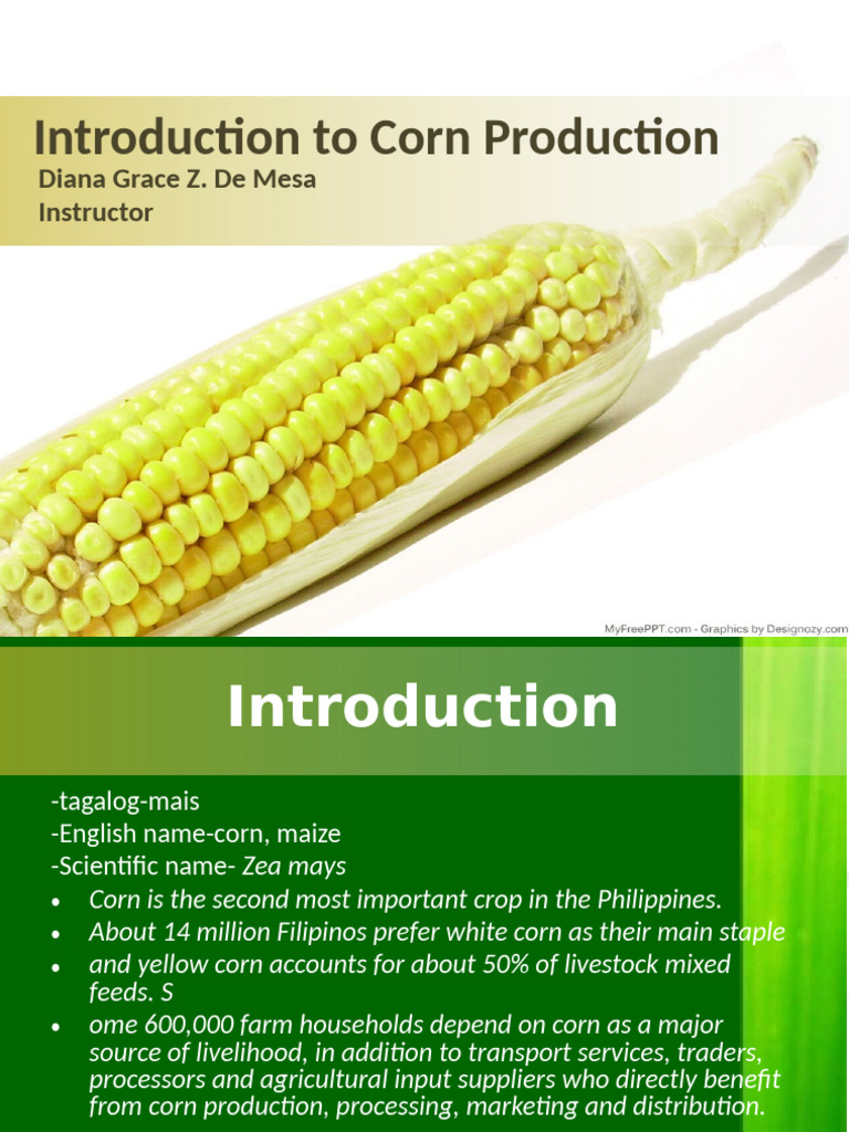 Lesson 1 Introduction | PDF | Maize
