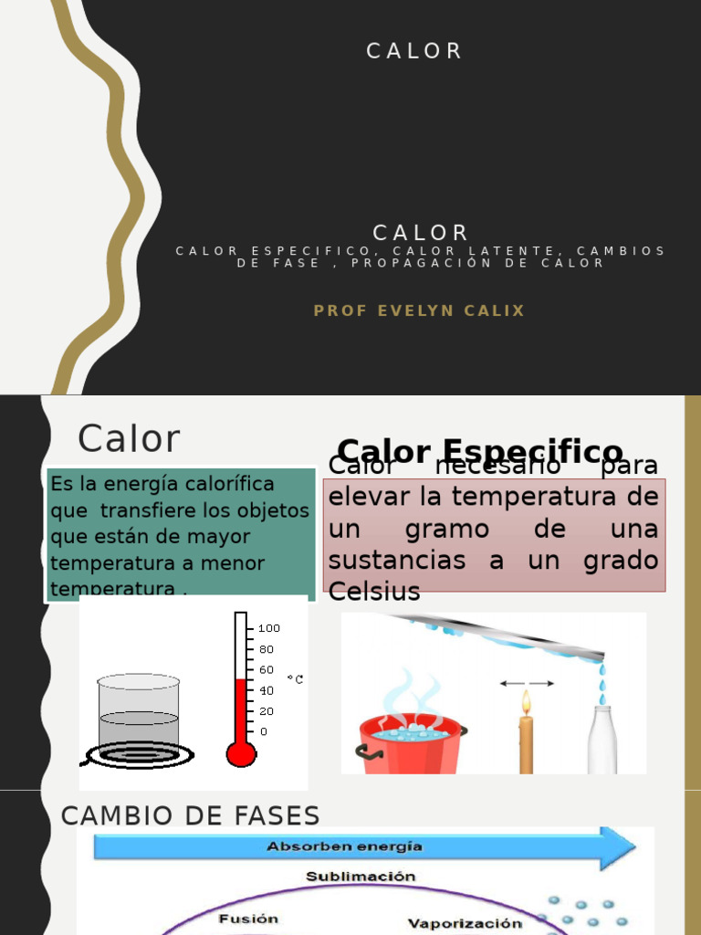 Calor | PDF | Calor | Caloría