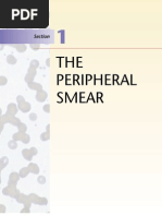 Iec 60502-1 - (2021) 17 | PDF