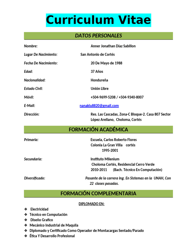 CV de Anner Jonathan Díaz Sabillon | PDF
