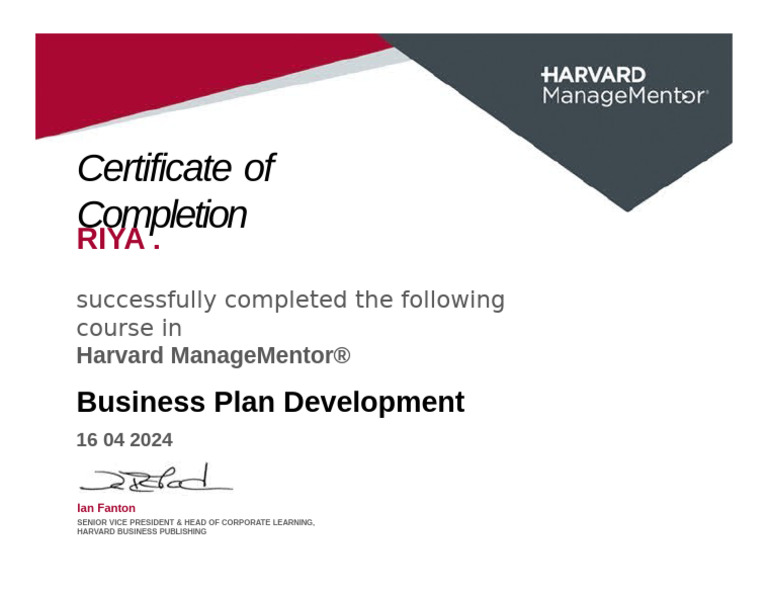 Business Plan Development | PDF