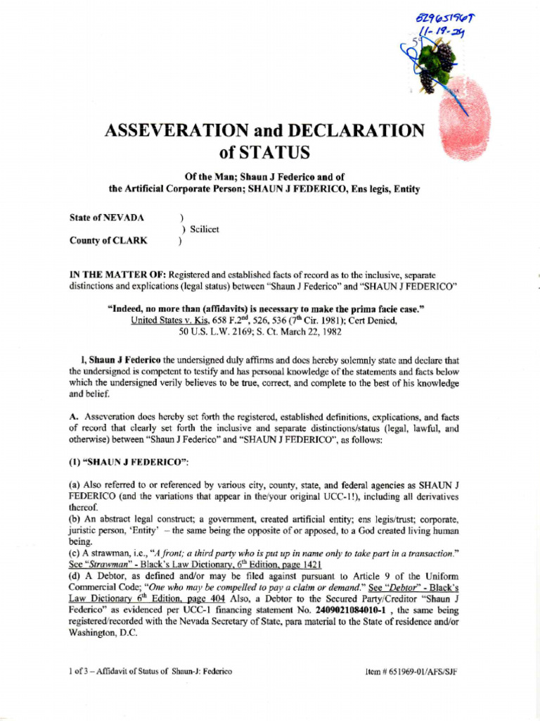 Asseveration and Declaration of Status-Shaun J Federico | PDF