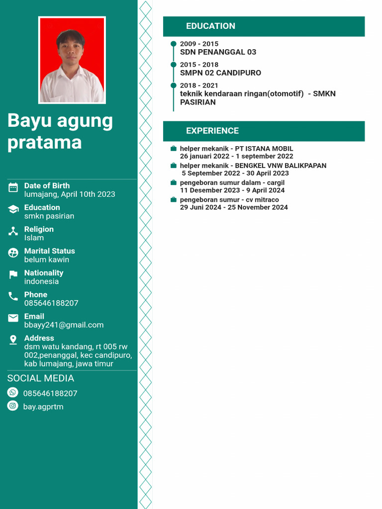 cv Bayu | PDF