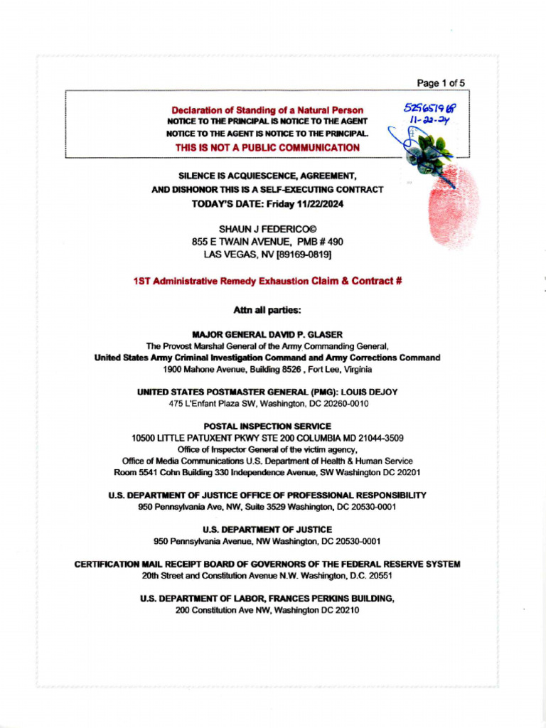 Declaration of Standing of A Natural Person | PDF