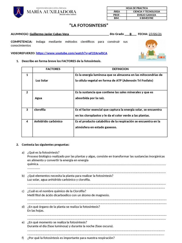 Semana 2 La Fotosintesis Hoja de Practica | PDF | Fotosíntesis | Plantas