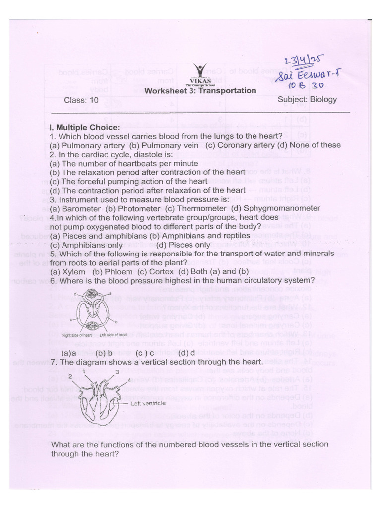 VIKAS THE CONCEPT SCHOOL Class X Biology Ch-5 Worksheet 3 | PDF