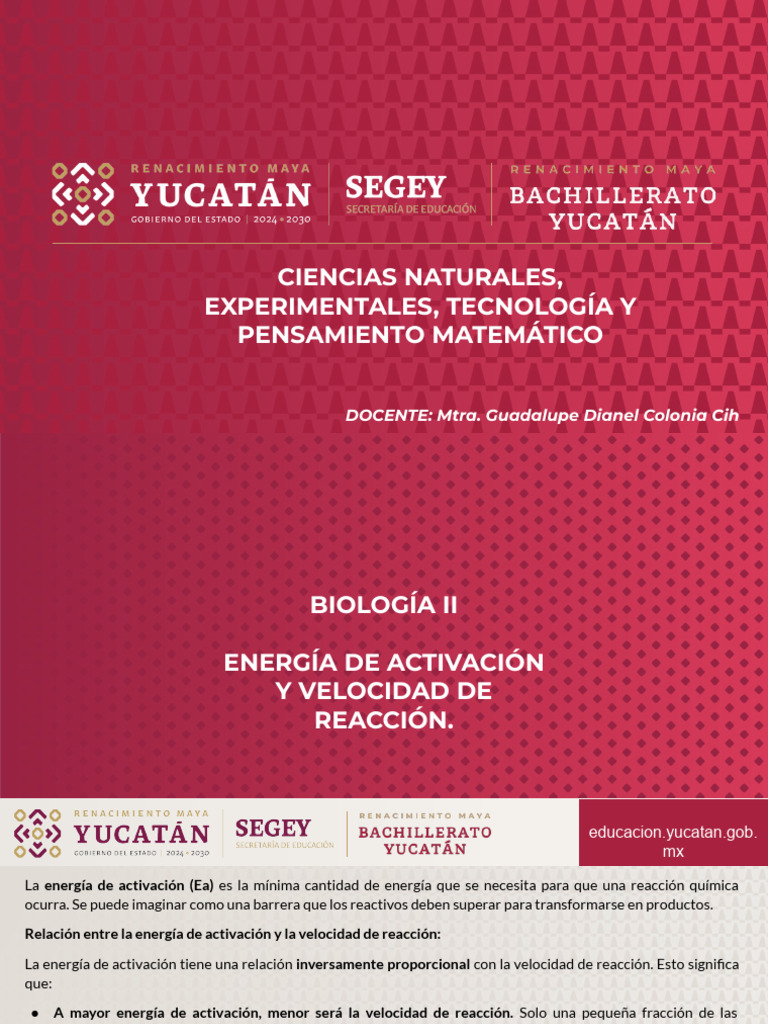 Energía de Activación y Velocidad de Reacción | PDF | Reacciones ...