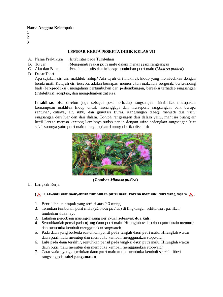 Iritabilitas Tumbuhan Putri Malu | PDF