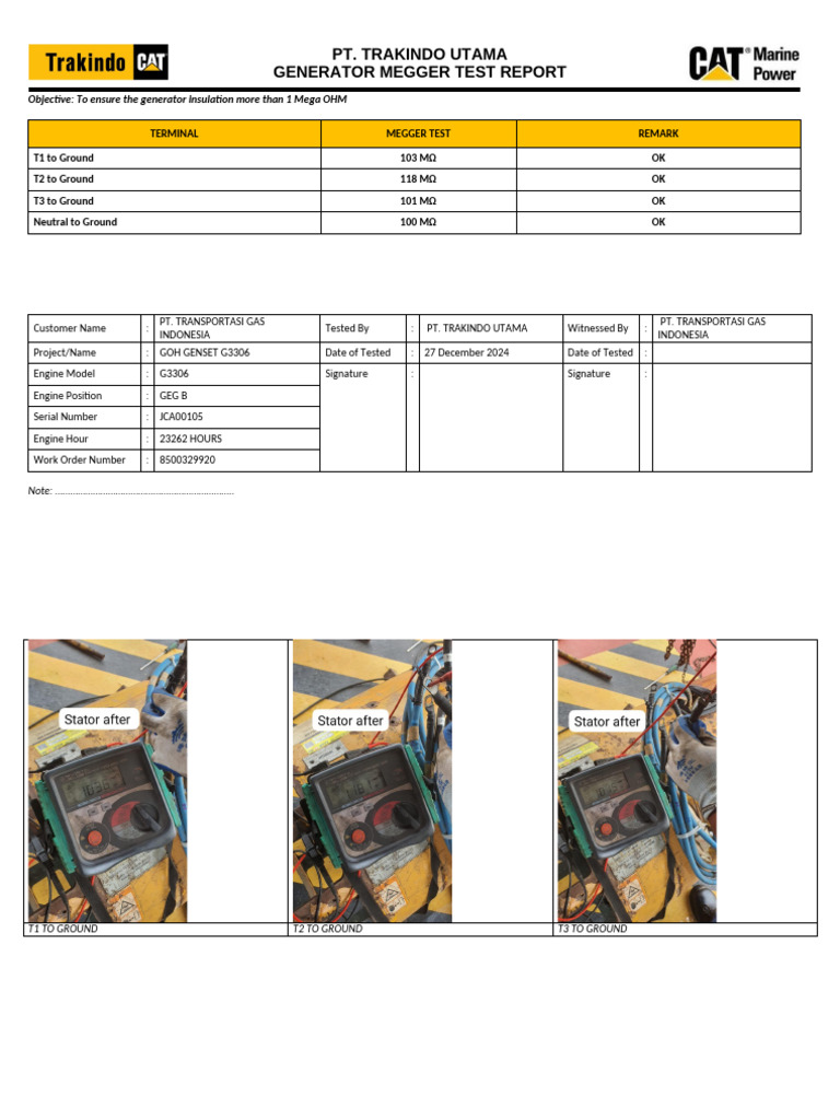 Generator Megger Test Report 2024 | PDF