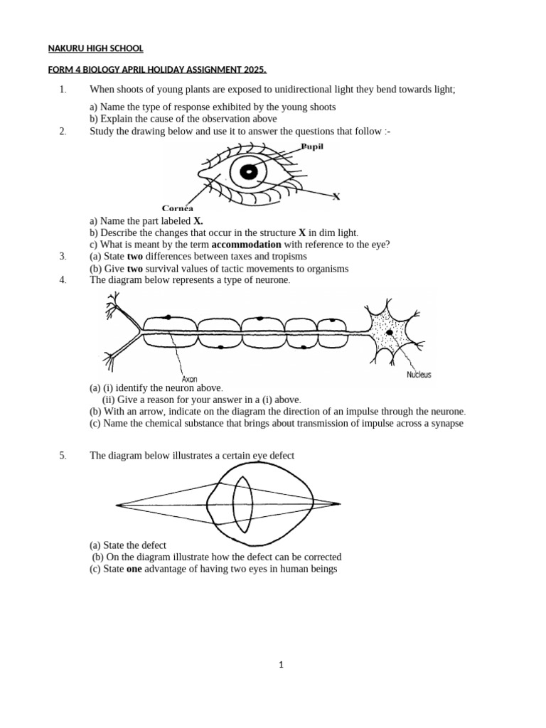 Form 4 Biology Holiday Assignment | PDF