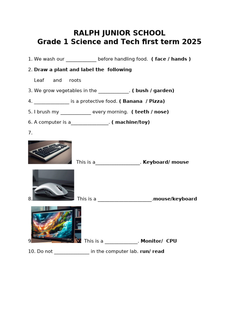 Grade 1 Science & Tech Quiz 2025 | PDF