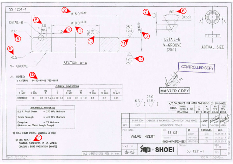 SS 1231-1 Rev.1 Controlled Copy-Balloon | PDF
