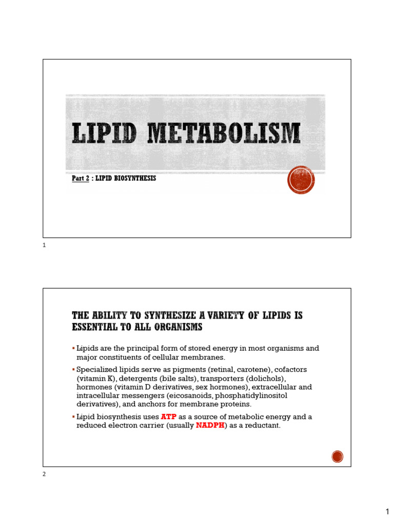 Unit 7 - Lipid Biosynthesis | PDF | Biosynthesis | Nicotinamide Adenine Dinucleotide Phosphate