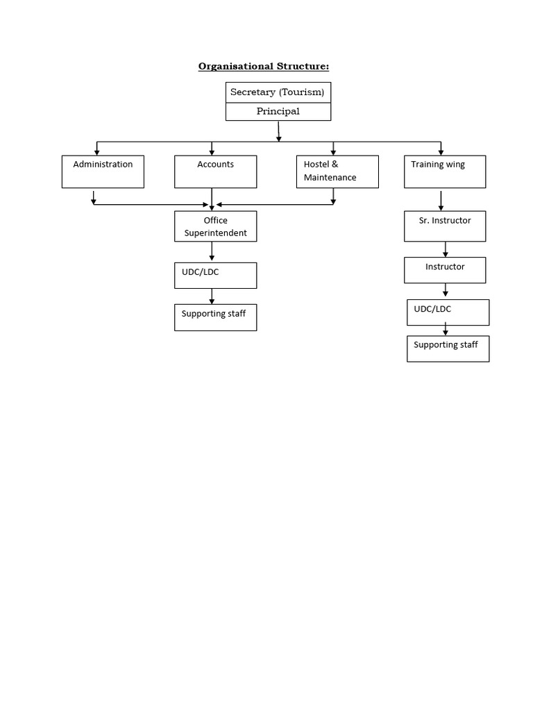 Organisation Chart | PDF