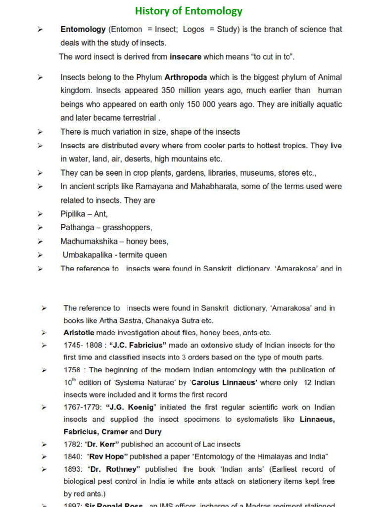 Intrductory Entomlogy Part-1 | PDF | Fly | Insects